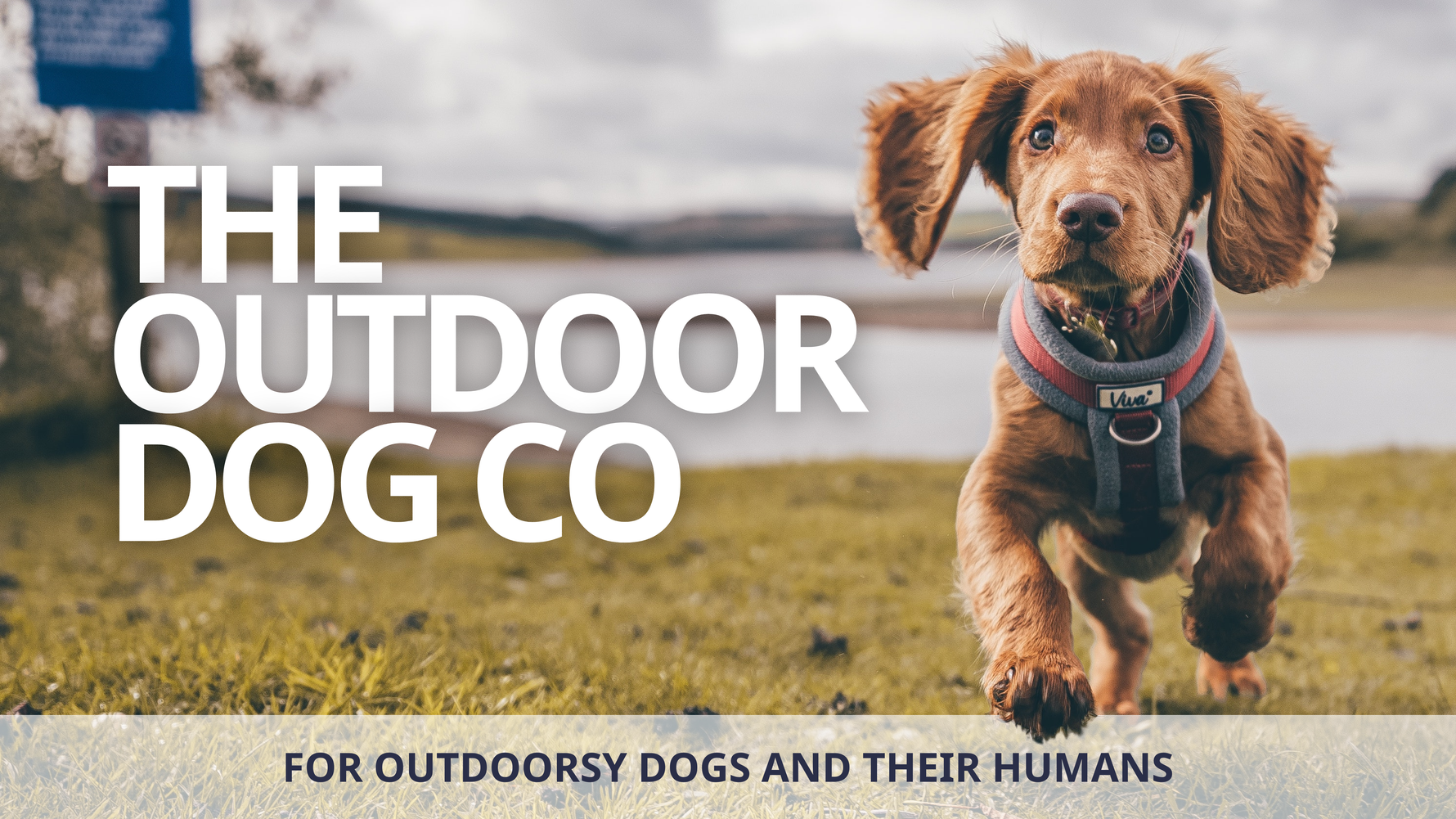 The Outdoor Dog Co | Adventure Subscription Box for Dogs + Humans